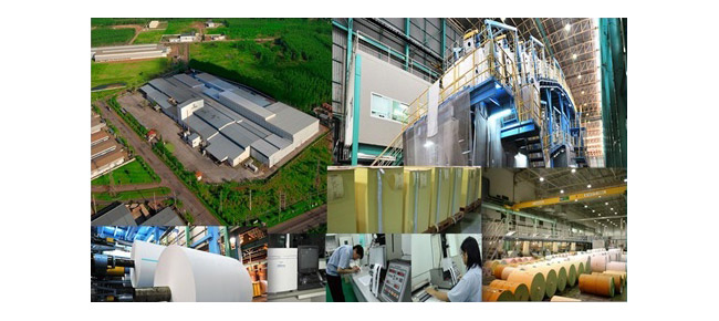 หางาน สมัครงาน งาน ตำแหน่ง นักวิเคราะห์ฐานข้อมูล ฝ่ายไอที, Oji Paper ...
