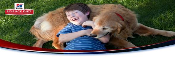 หางาน สมัครงาน งาน ตำแหน่ง Oral Care Consultant (Contract), COLGATE ...