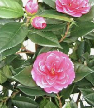 หางาน บริษัททดสอบจำกัดมหาชน, ๑๑1ddd111 ตำแหน่งงานที่เปิดรับสมัคร ...