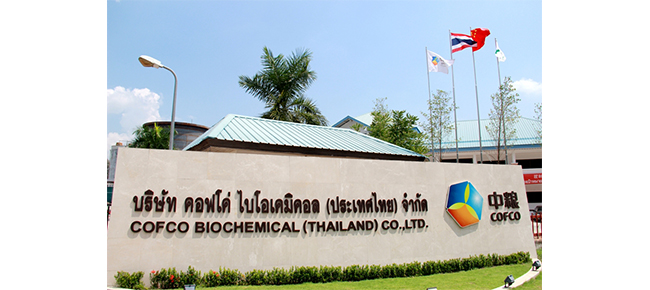หางาน บริษัท คอฟโค่ ไบโอเคมิคอล (ประเทศไทย) จำกัด ตำแหน่งงานที่เปิดรับ ...